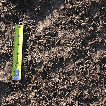 Soil & Soil blends - Trees Forever Nursery